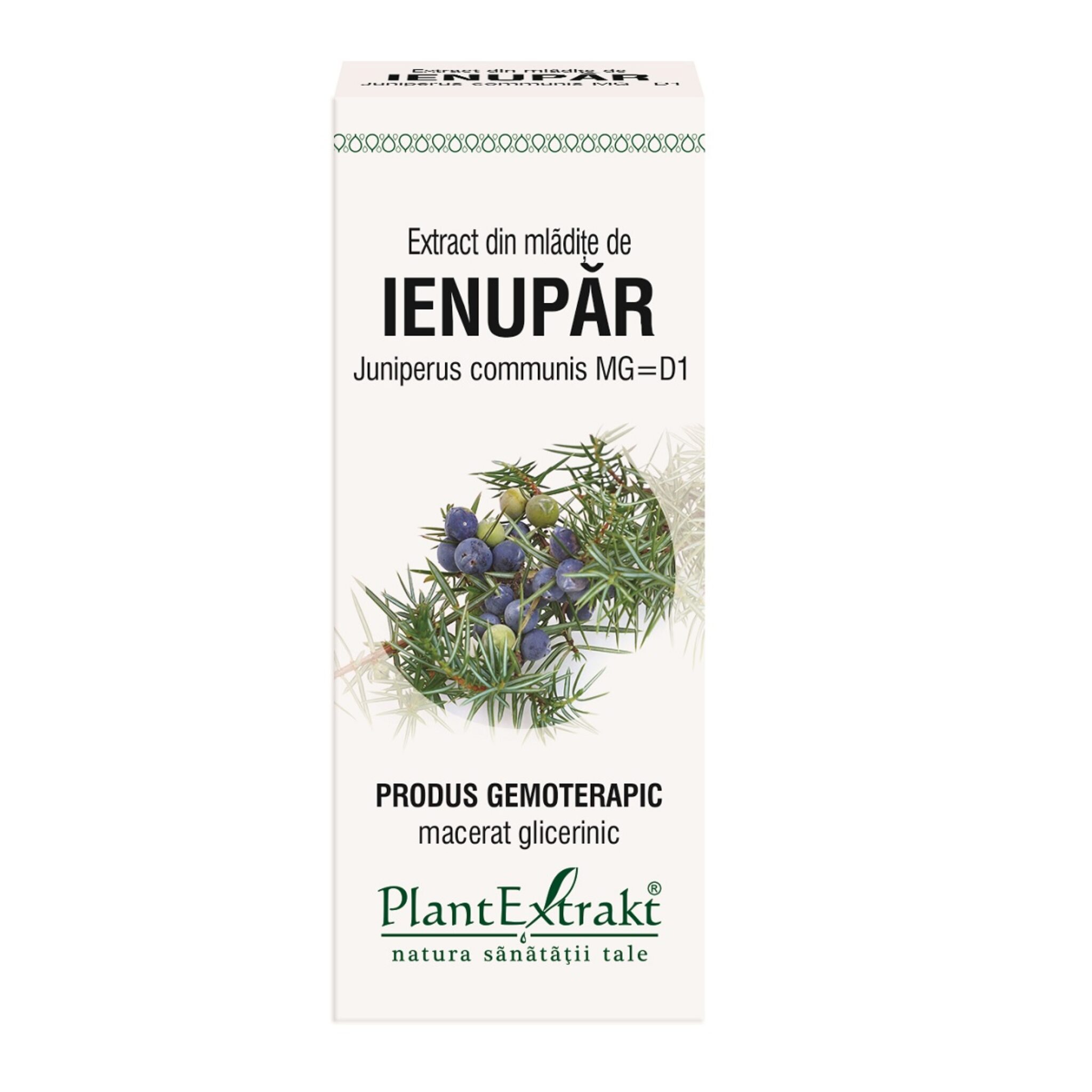 JUNIPERUS COMM. (mladita de ienupar ) 50 ML - FagusPlant